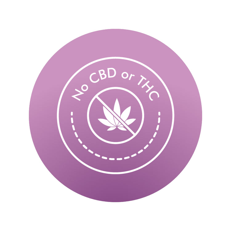 Unwind, Hangover-Free – Sun Chaser